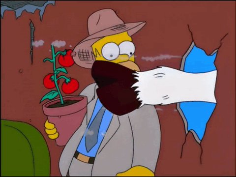 TOMACCO! : r/TheSimpsons