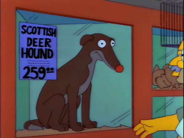 Frinkiac - Simpsons Meme & GIF Generator