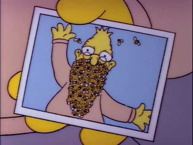 Frinkiac - Simpsons Meme & GIF Generator