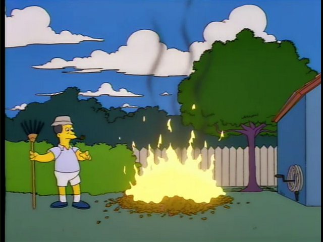 NO BURNING LEAVES WITHOUT A PERMIT! : r/TheSimpsons