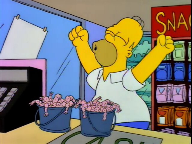 Frinkiac - Simpsons Meme & GIF Generator