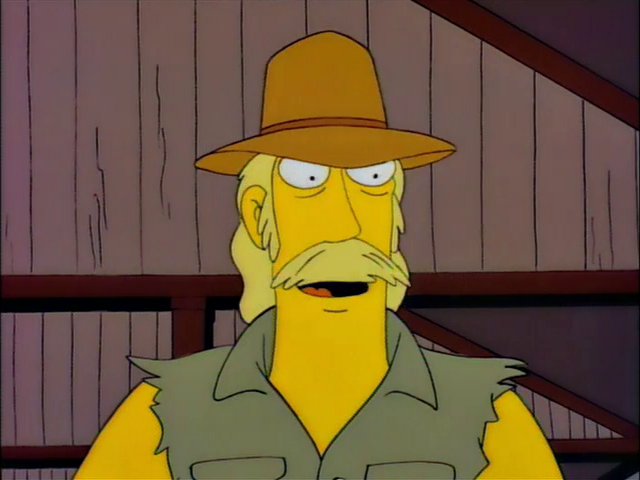 I think we can all agree who the real star of The Simpsons is. : r ...