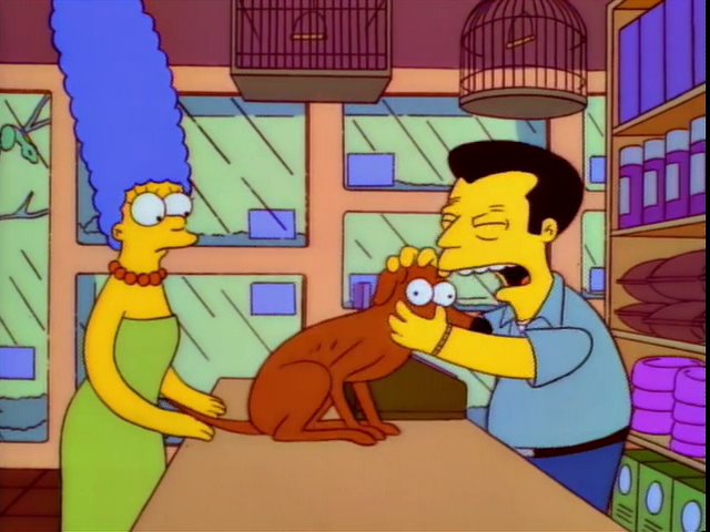 Frinkiac - Simpsons Meme & GIF Generator