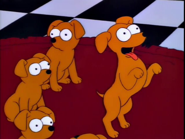 Smithers, look! He's standing up! : r/TheSimpsons