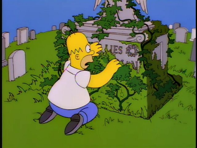 Frinkiac - Simpsons Meme & GIF Generator