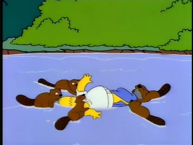 Frinkiac - Simpsons Meme & GIF Generator