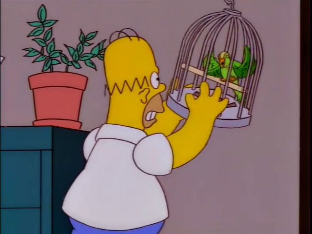 Can’t someone else do it? The fabulous Steve Martin : r/TheSimpsons