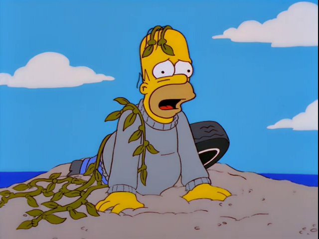 Frinkiac - Simpsons Meme & GIF Generator