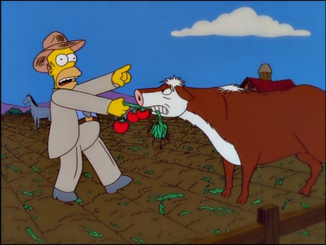 Frinkiac - Simpsons Meme & GIF Generator