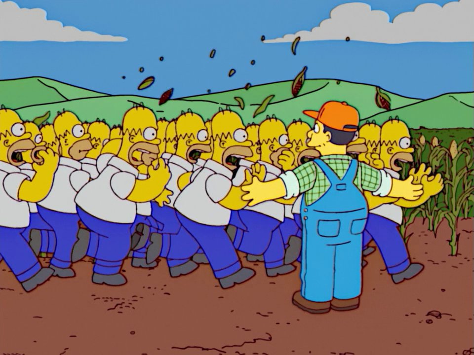 Frinkiac - Simpsons Meme & GIF Generator