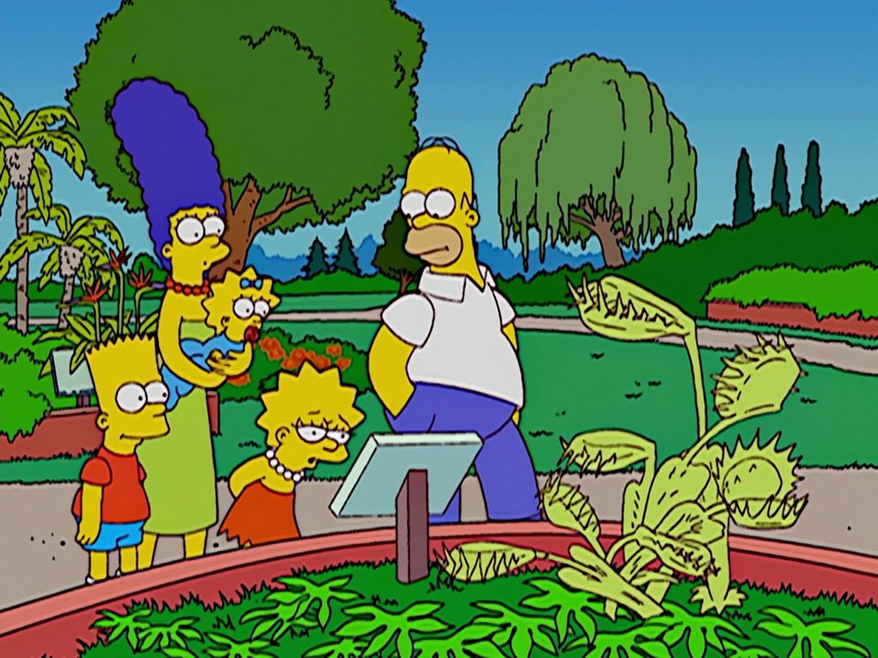 Frinkiac - Simpsons Meme & GIF Generator