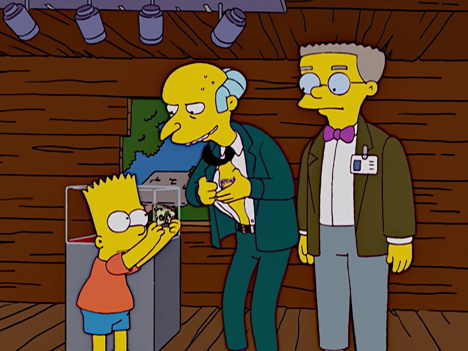 Frinkiac - Simpsons Meme & GIF Generator