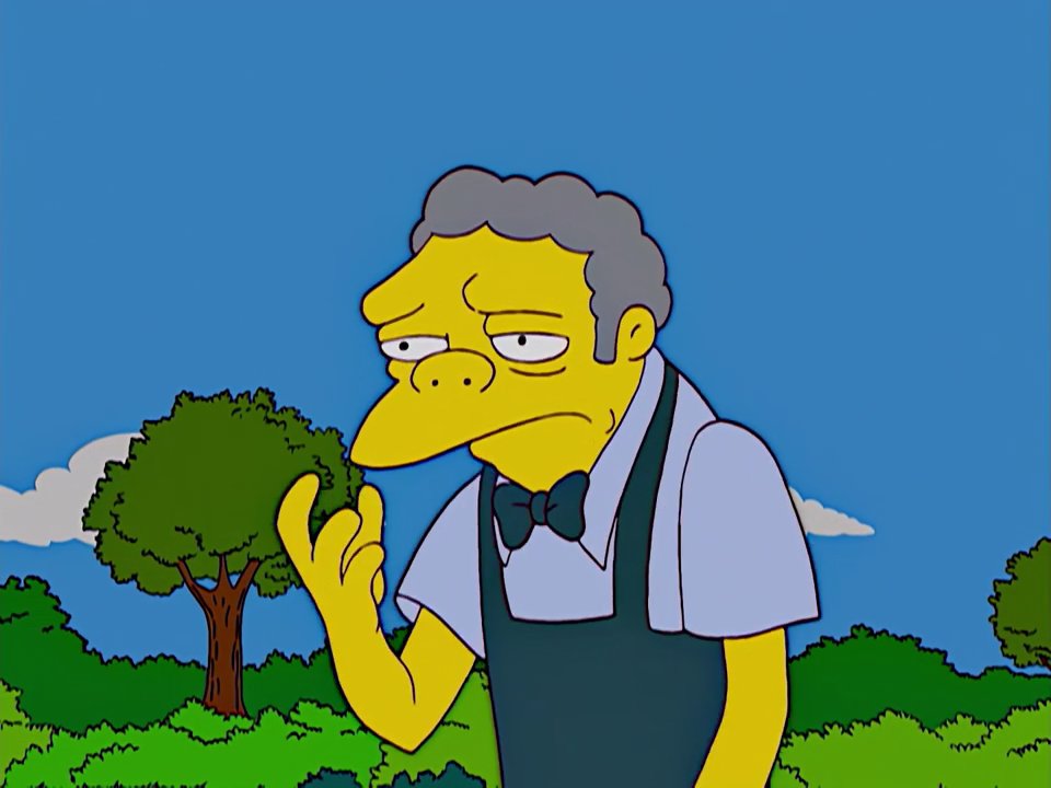Frinkiac - Simpsons Meme & GIF Generator