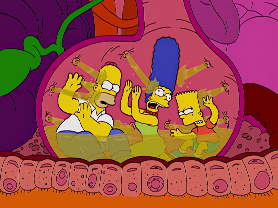 Frinkiac - Simpsons Meme & GIF Generator