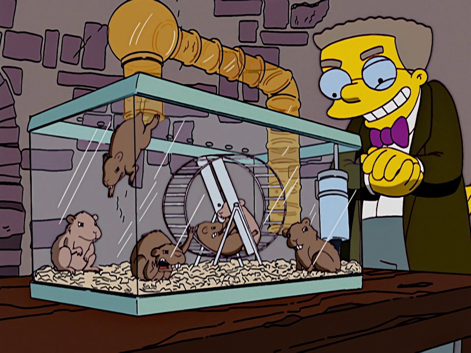 Frinkiac - Simpsons Meme & GIF Generator