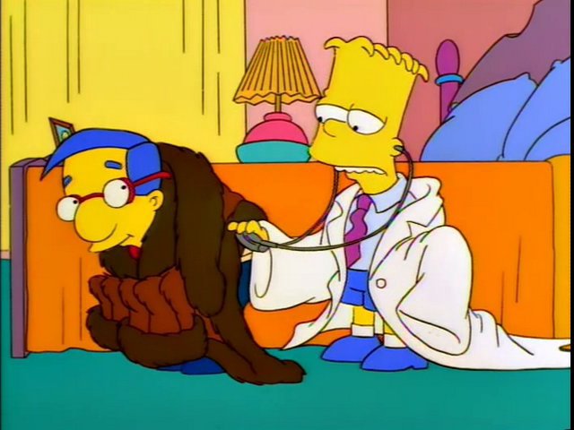 Dr. Cheeks - S06/E22 : r/TheSimpsons