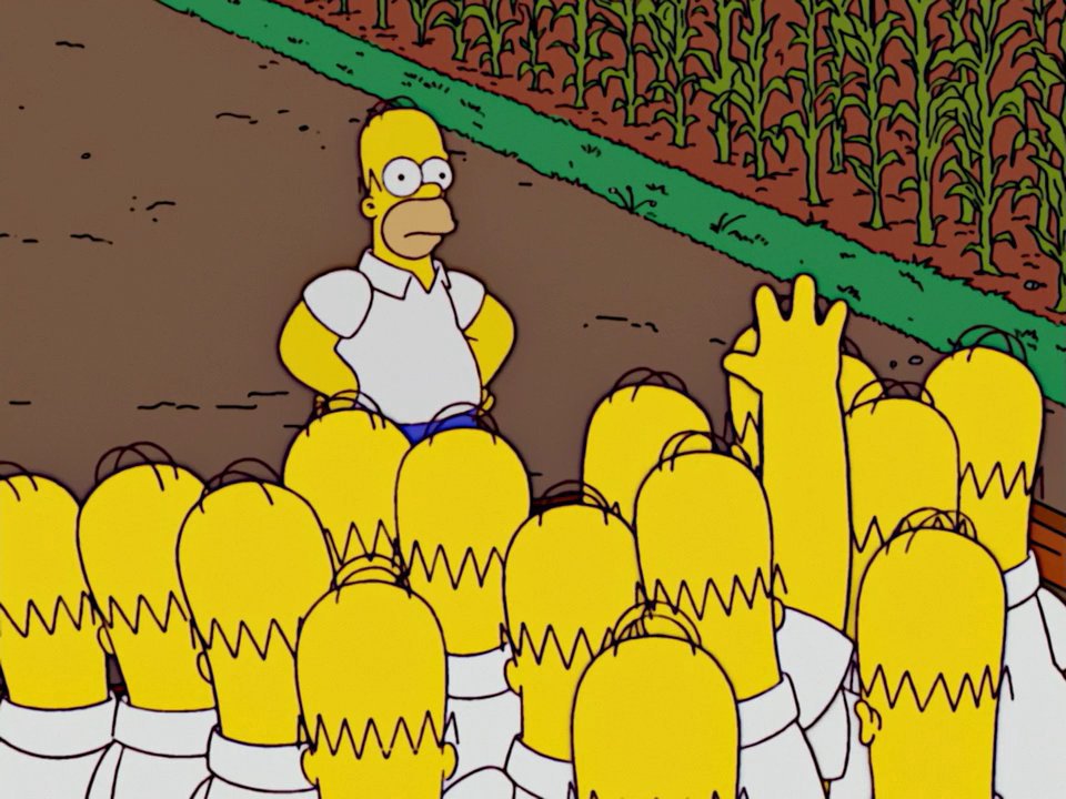 "Now, before I abandon you in this cornfield does anyone remember the ...