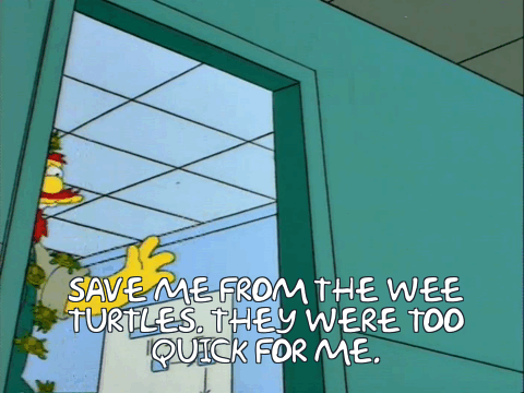 If I don't have the wee turtles, who will? : TheSimpsons