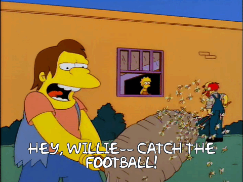 Hey Willie! Catch the football! : TheSimpsons