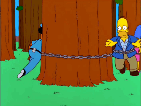 Mmmm. What a tragedy. That car was just two days away from retirement ...