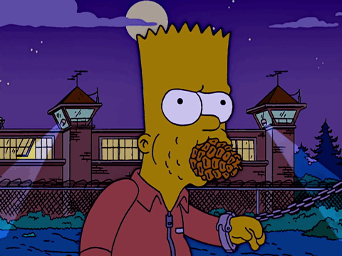 Trump's border czar tells NYC mayor he'll be 'up his butt' if he breaks ...